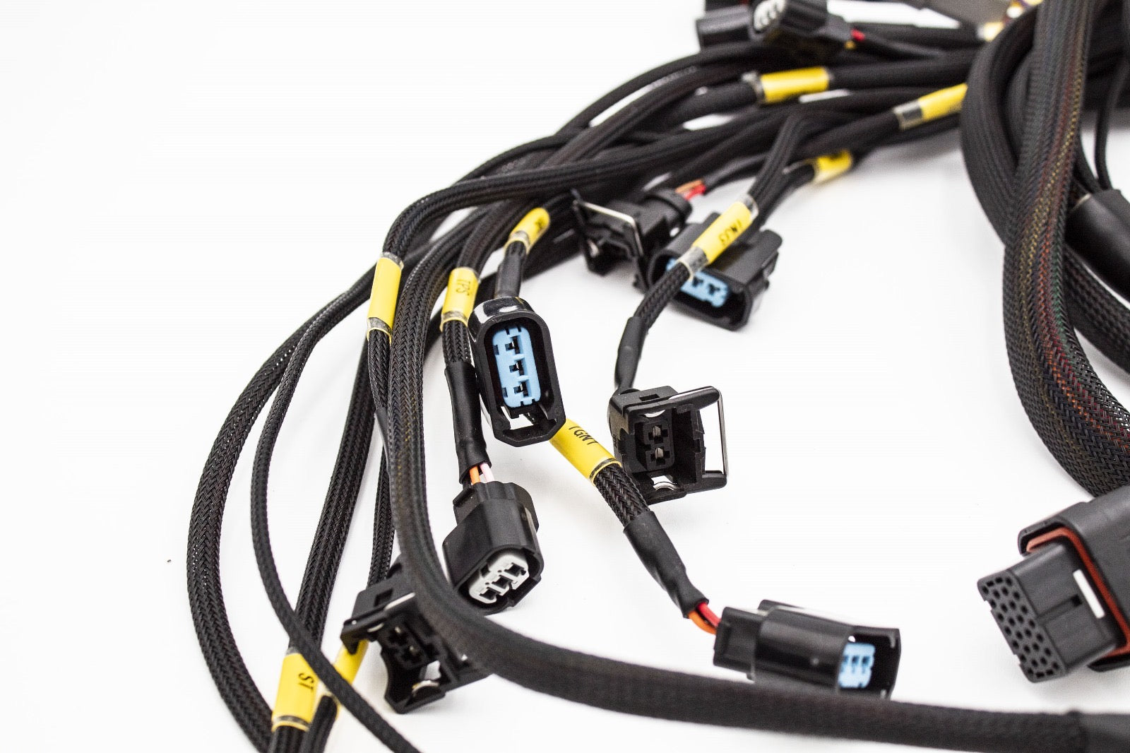 K20/K24 FUELTECH 450 STANDALONE ENGINE HARNESS - RPT CREATIONS