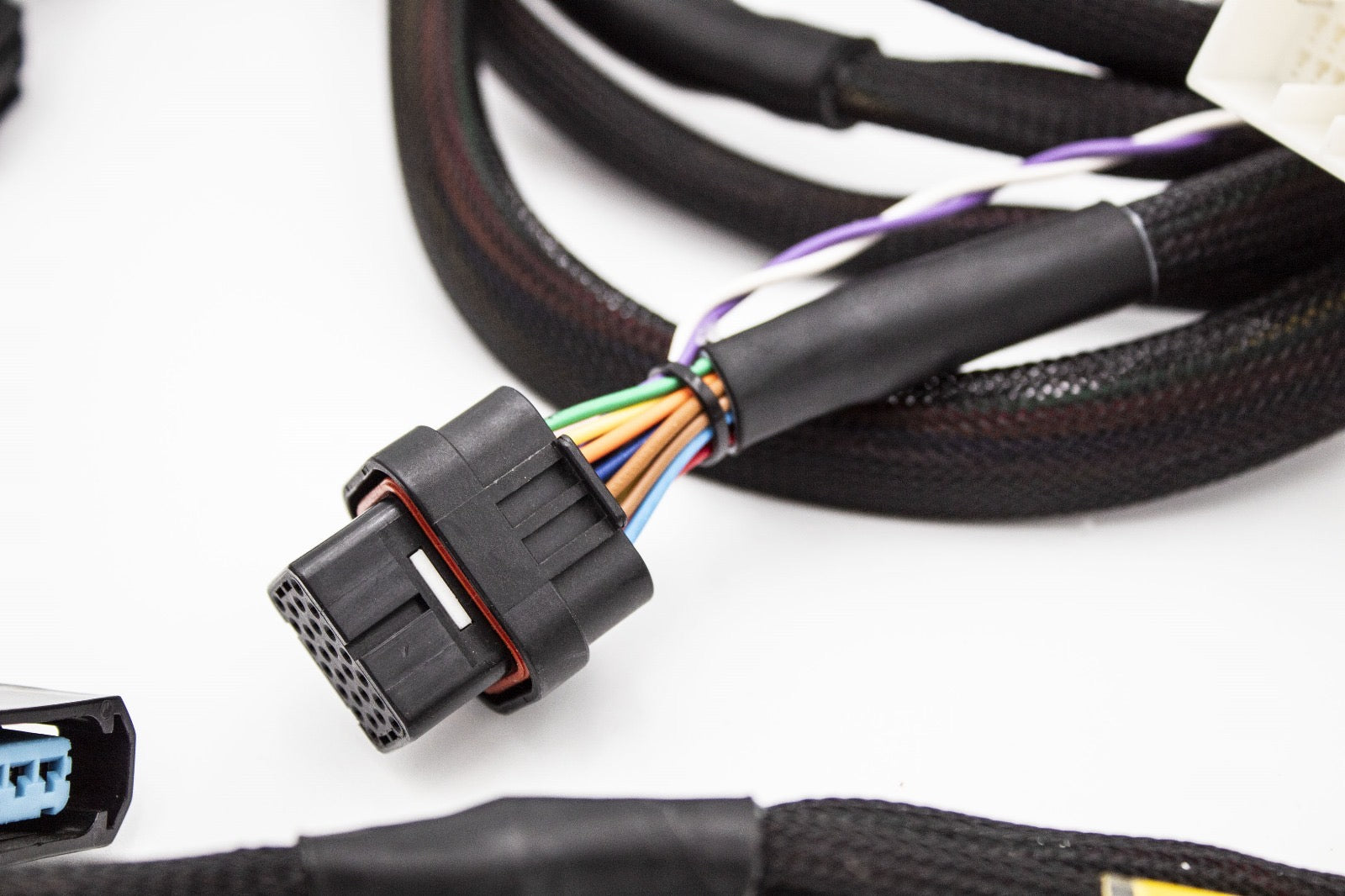 K20/K24 FUELTECH 450 STANDALONE ENGINE HARNESS - RPT CREATIONS